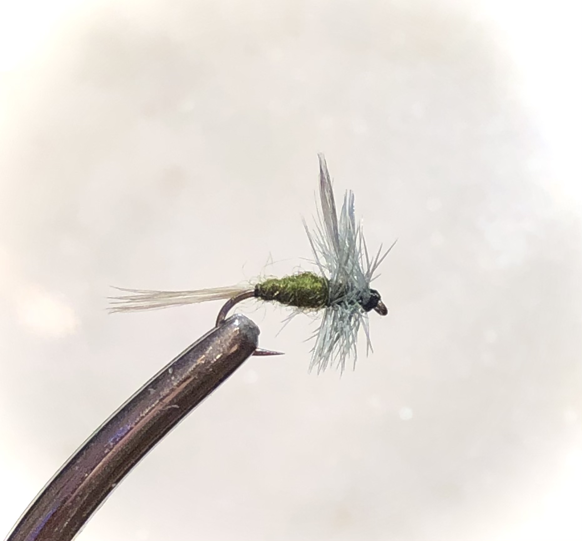 Blue Winged Olive Size 18 One Dozen (12 QTY) - Ames Fly Fishing
