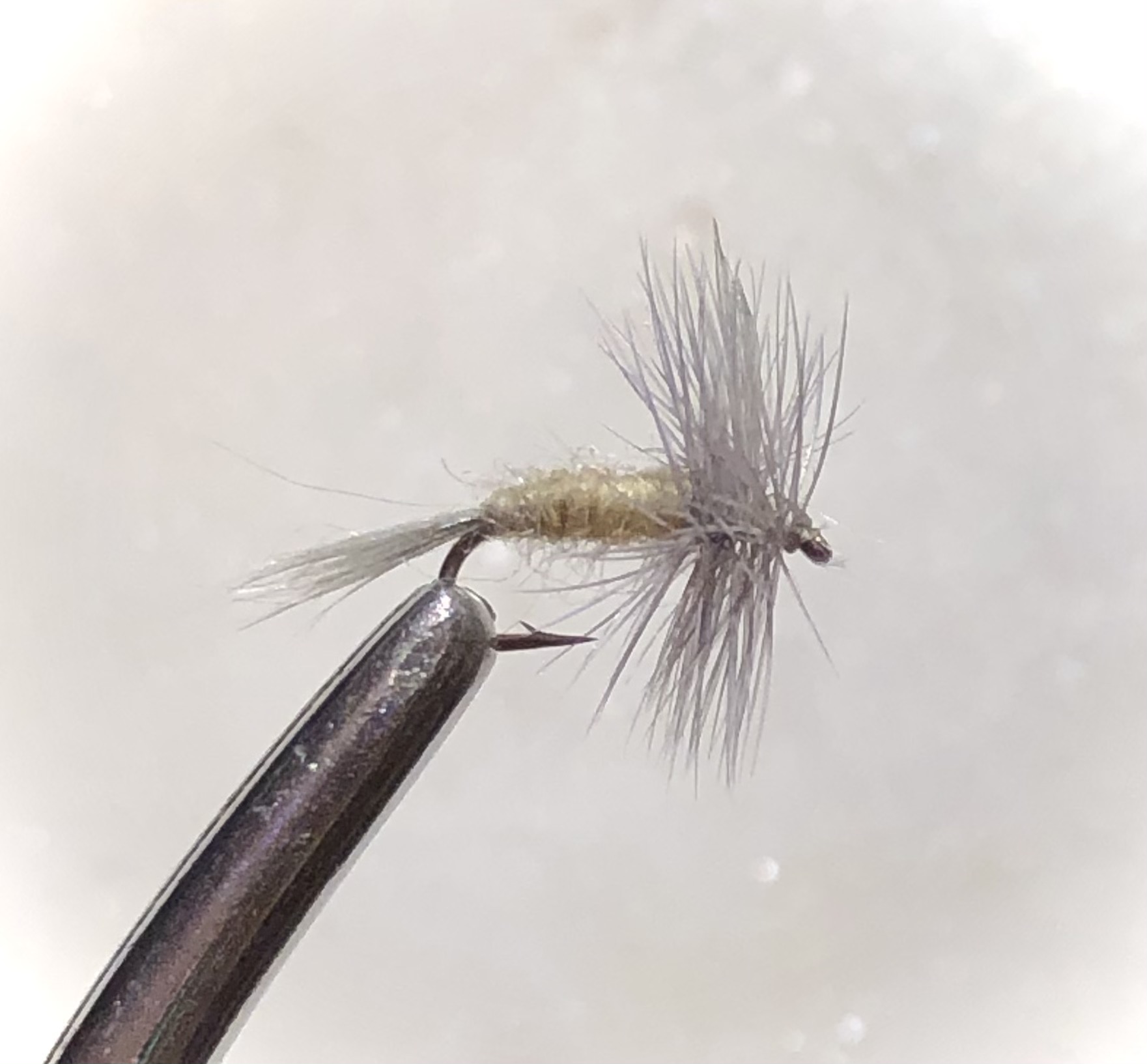 Pale Morning Dun PMD Size 20 One Dozen (12 QTY) - Ames Fly Fishing