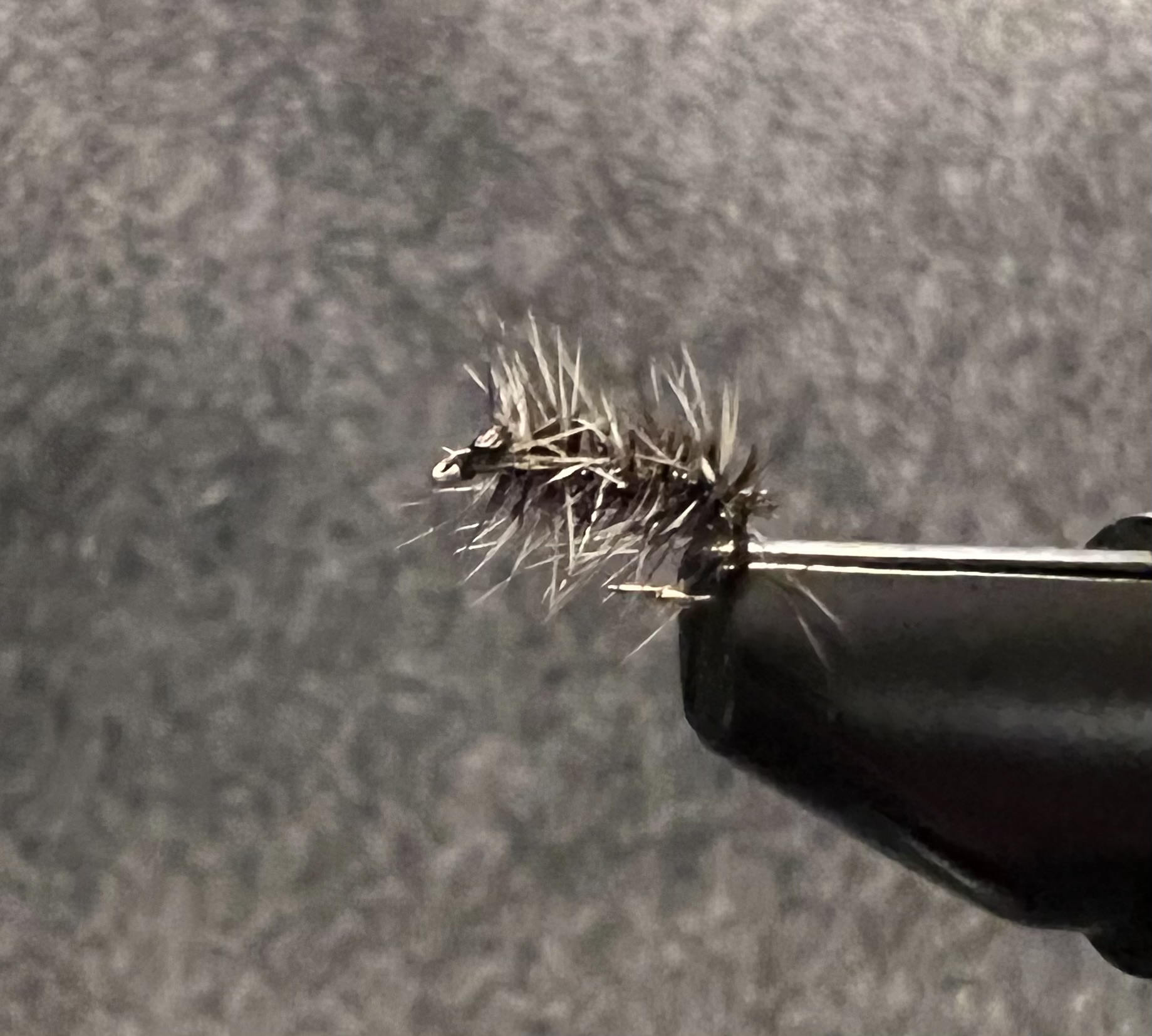 Griffith's Gnat Dry Fly Size 20 One Dozen (12 QTY) - Ames Fly Fishing