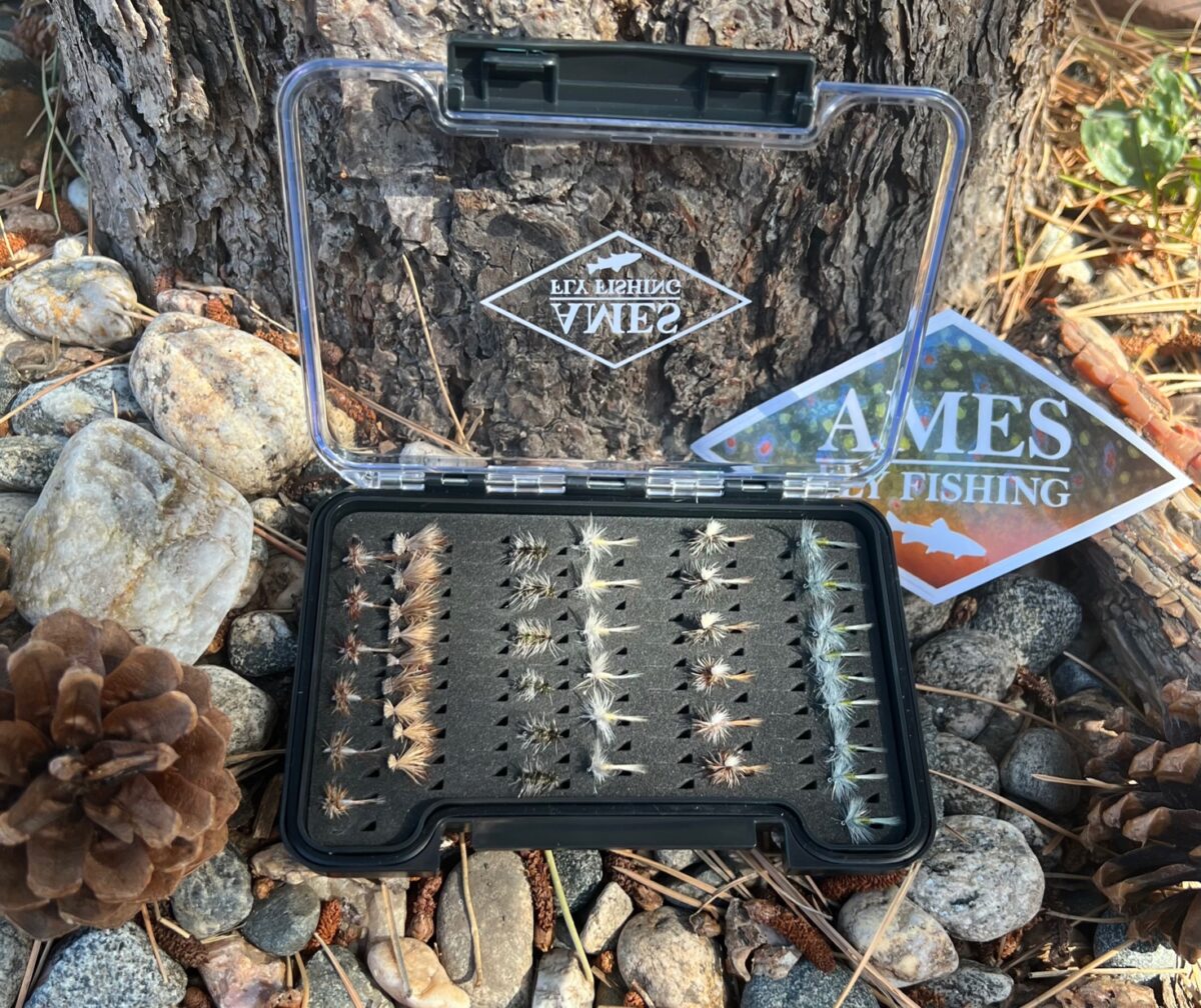 Nymph Flies Assortment Loaded Fly Box - Ames Fly Fishing