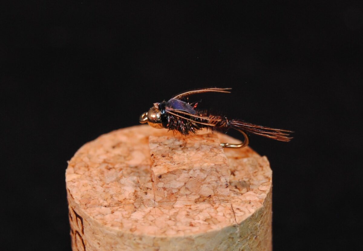 Pheasant Tail Bead Head Flashback Size 16 One Dozen (12 QTY) - Ames Fly Fishing